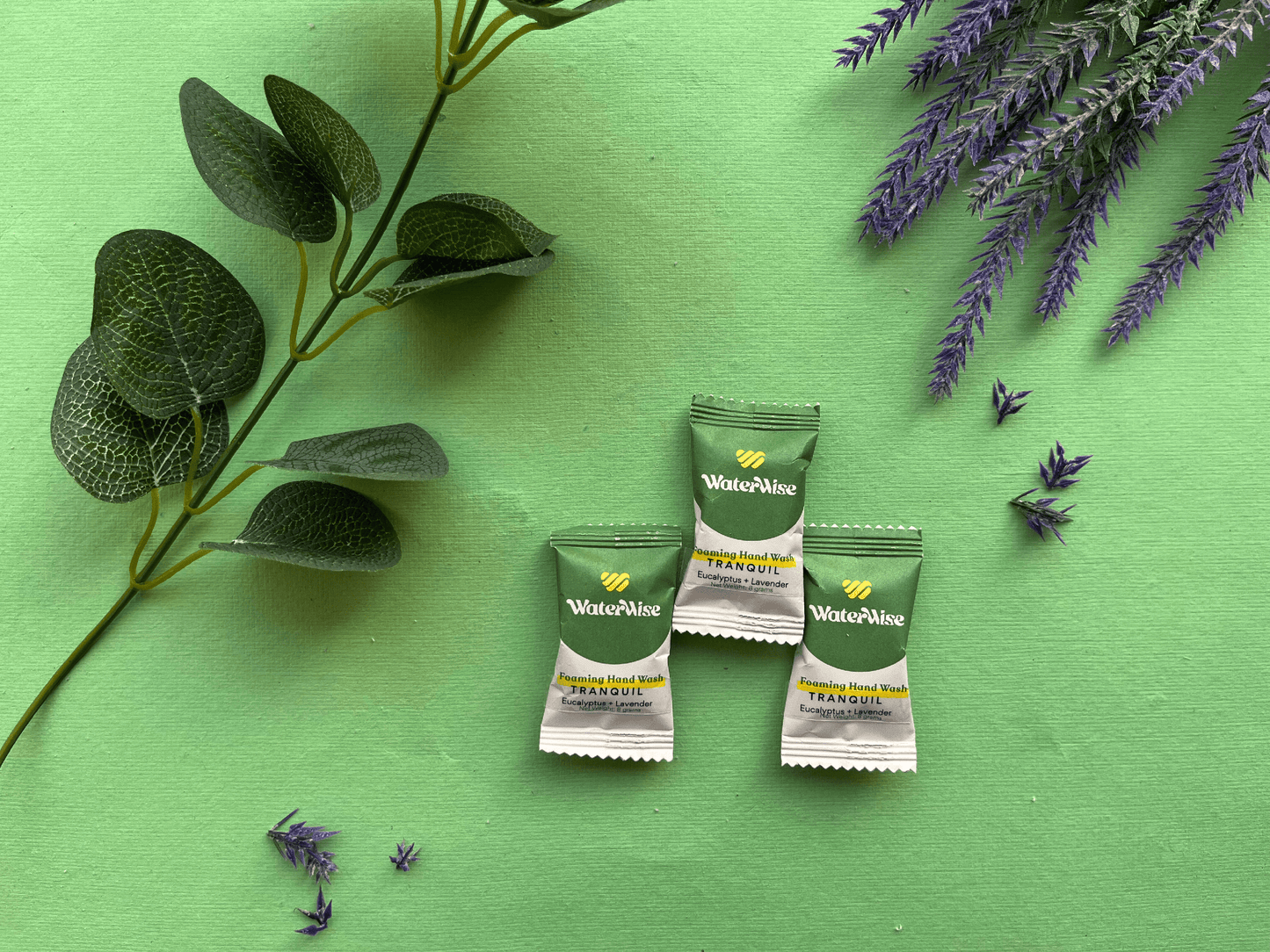 Foaming Hand Wash Starter Kit - Duo – WaterWise